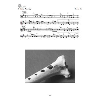 The Essential Guide to Irish Flute and Tin Whistle – Physical Book ...